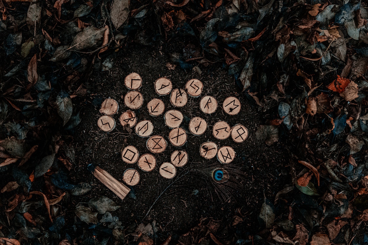 pexels-sam-hancock-10110445-1-1 – Tarot Los Arcanos